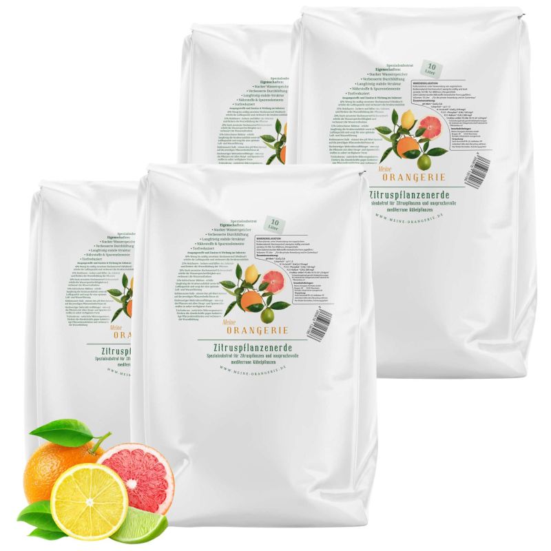 Rote Limette - Lima Rossa online kaufen